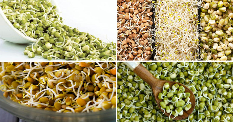 10 Health Benefits of Sprouts That Will Convince You To Eat Sprouts ...