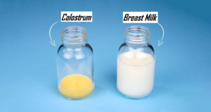 Breast Milk Composition in a New Mother - Baggout